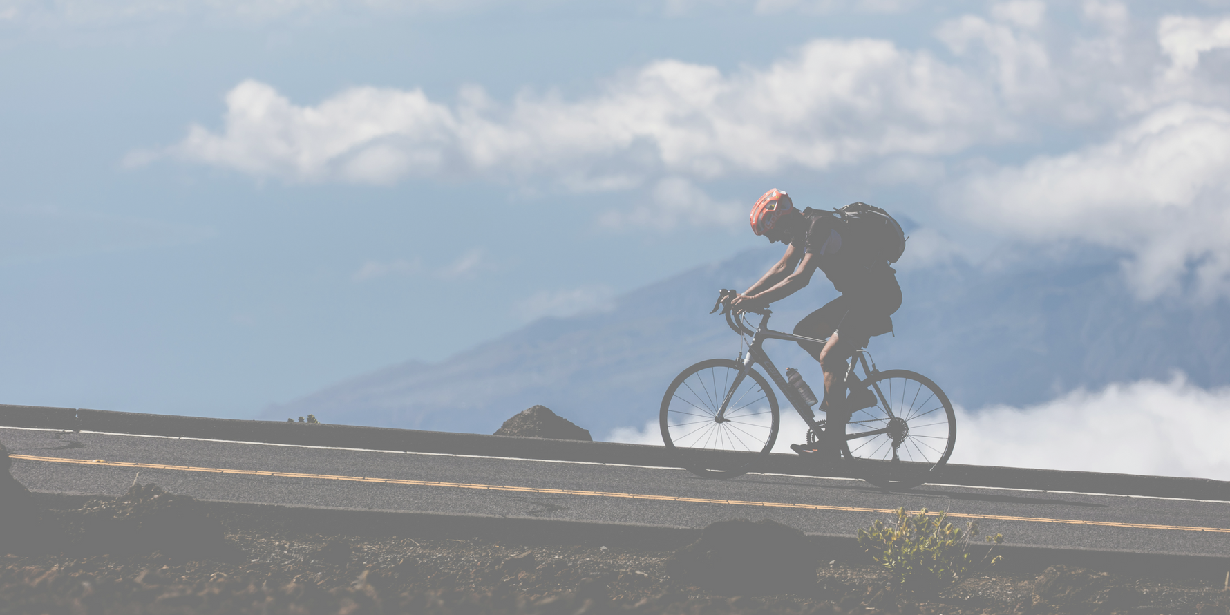 Meet the Team – Health Defender